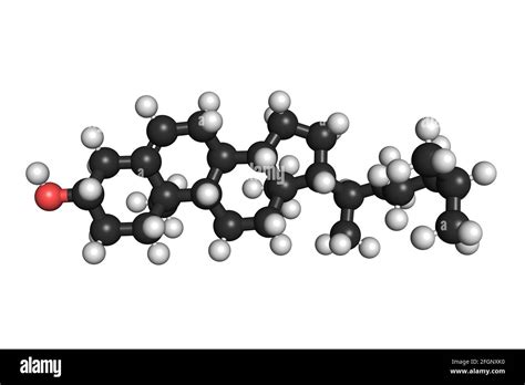 Cholesterol Molecule Lipid Organic D Render Chemical Structure Stock Photo Alamy