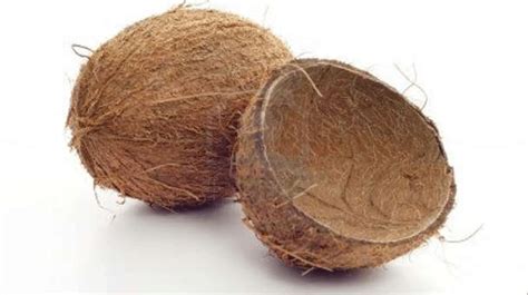 Amazon Adds Coconut Shells To Shopping Cart Indian Consumers Stunned