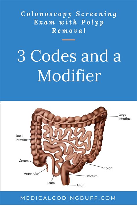 Coding For Screening Colonoscopy And Polyp Removal Artofit