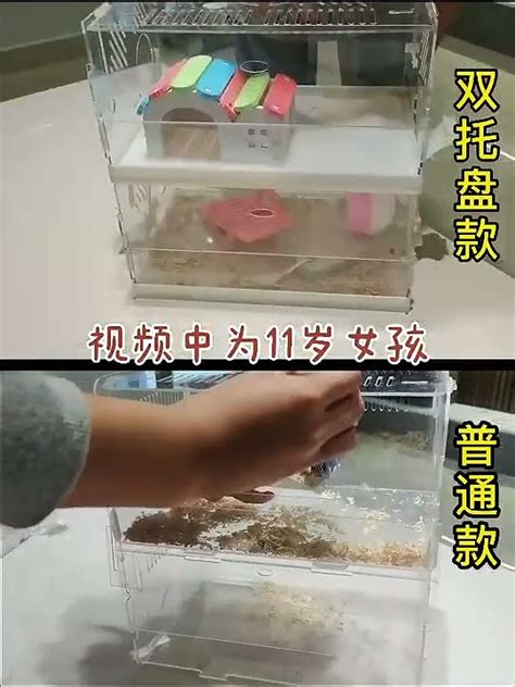 햄스터 리빙박스 집 케이지 하우스 사육장 대형 다람쥐 아크릴 케이스 풀세트 사육장 만들기 투명 꾸미기 단일 Youtube