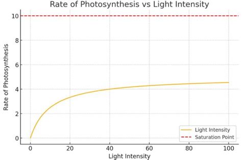 Limiting Factors Of Photosynthesis A Level Biology