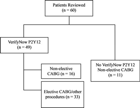 Implications Of The Verifynow P2y12 Assay On Patient Outcomes