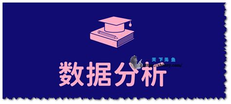 b站戴师兄戴你玩转数据分析 天下无鱼 资源博客