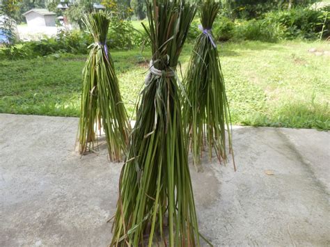 新潟県十日町市 松代おやっこ村 菅笠（すげがさ）づくり① ～菅笠の作り方（材料の準備と内側を編む）～