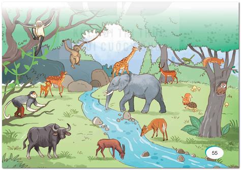 Viết Phiếu đọc Sách Theo Mẫu PhiẾu ĐỌc SÁch Tên Sách Báo