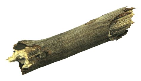 Wood Log Pngs For Free Download