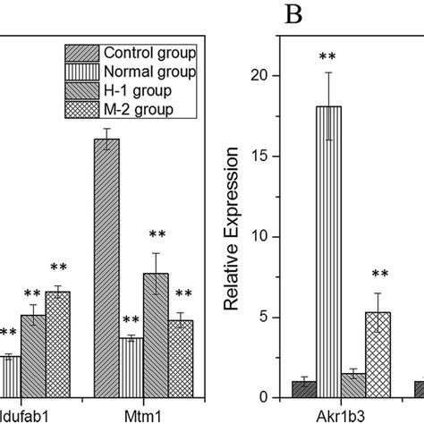 The Rna Relative Expression Levels Of Down Regulated A And Download Scientific Diagram