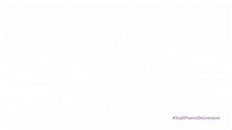 Arcelia Alejandra Ruiz Cid On Linkedin Soyelpuertodeliverpool