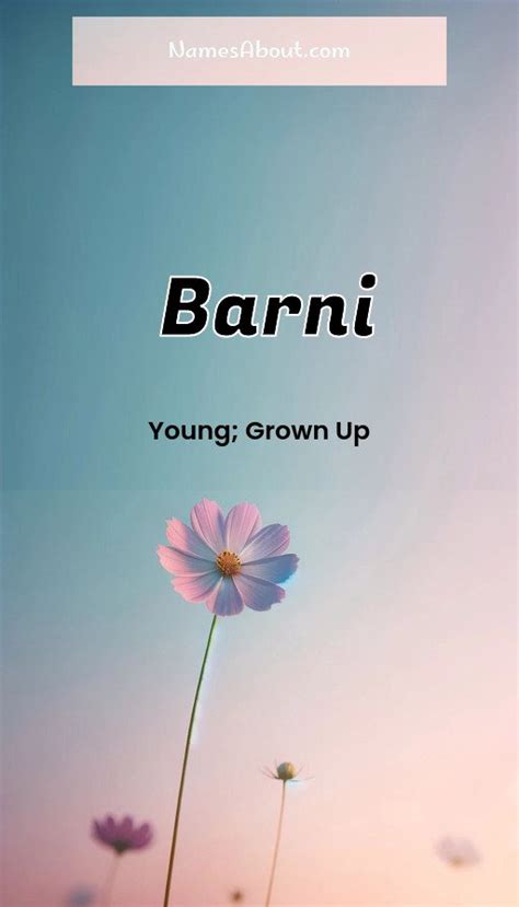 Barni Name Meaning And Origins Nicknames Sibling Ideas