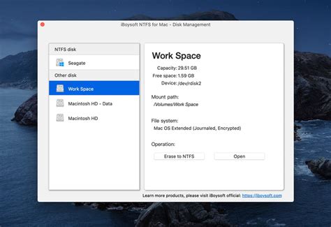 Buy Ibabesoft NTFS Standard For Mac Ibabesoft NTFS Standard Key Godeal24