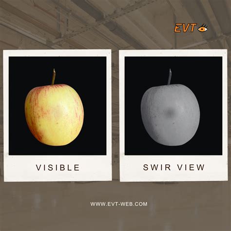 Eyevision Supports Lucid Swir Cameras For Advanced Industrial Imaging Eyevisiontechnology