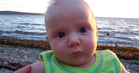 Discombobuleight Beach Bums