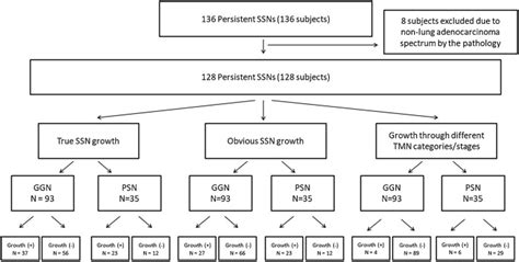 Natural History Of Persistent Pulmonary Subsolid Nodules Long Term Observation Of Different