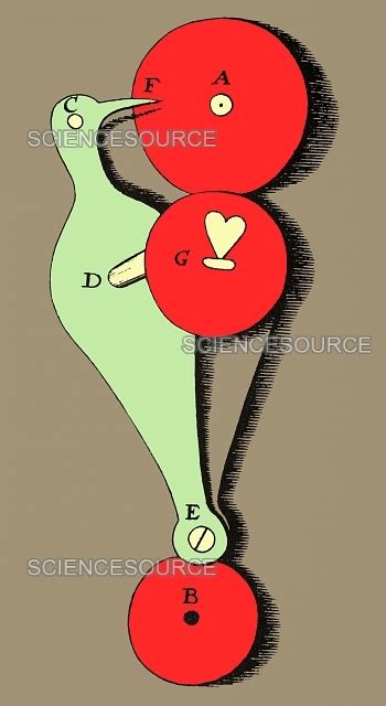 Early Microscope Design 17th Century Stock Image Science Source Images