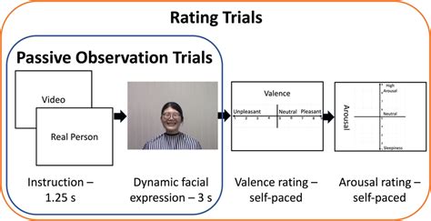 The Procedure Of Each Trial During The Passive Observation Trials The