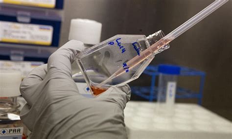 Human Cloning Used For The First Time To Create Stem Cells From Adults