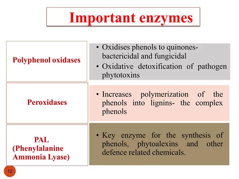 Role Of Phenols In Plant Defence Pptx