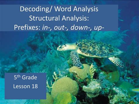 Ppt Decoding Word Analysis Structural Analysis Prefixes In Out Down Up Powerpoint