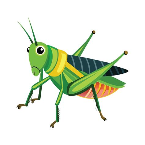 Fun Grasshopper Character On A Leaf 58981340 Vector Art At Vecteezy