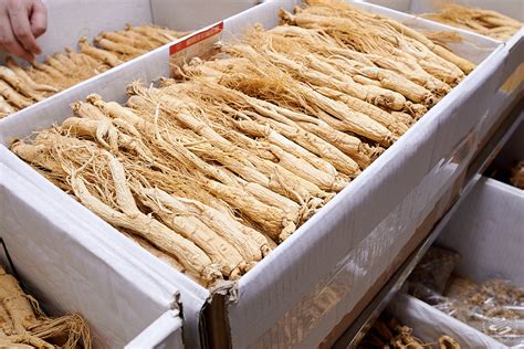 Sex Toys And Traditional Medicine Revisiting The Health Products Mall SmartShanghai