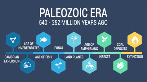 Paleozoic Era Diversification Of Life 540 To 252 Million Years Ago