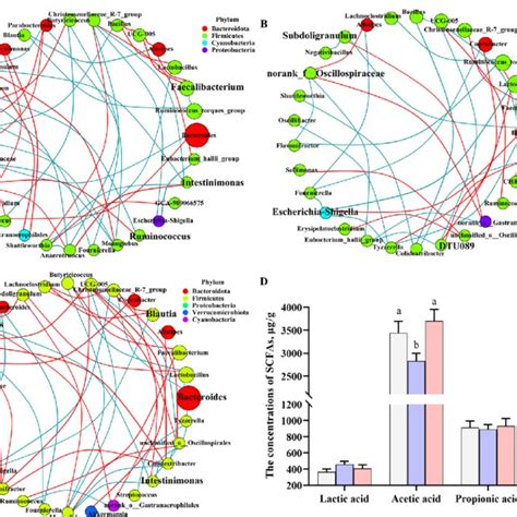 Microbial Communities Co Occurrence Network And Short Chain Fatty Acids Download Scientific