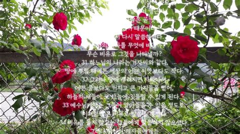 온 우주에 가득한 하느님 사랑 6949 장미 횃불 Youtube