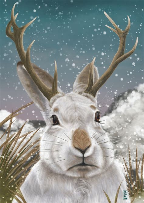 Illustrazione Di Jackalope