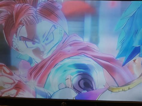 Beetroo And His Master Nora Were In The Midst Of Training When Beetroo