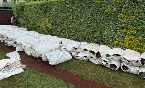 Pemba Grass Prices 2025 Cost Per Bag Acre And Where To Buy