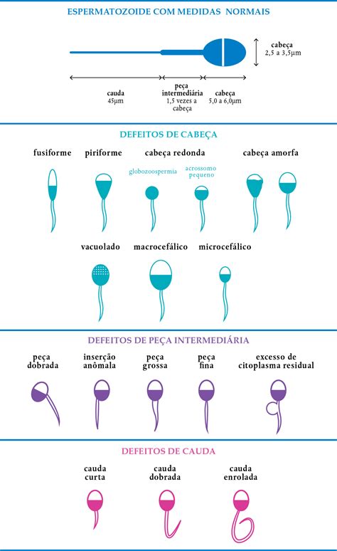O Que Significa Esperma Fdplearn