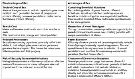 Biol 206 Test 2 Flashcards Quizlet
