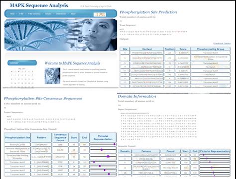 A Snapshots Of The Map Kinase Analyzer Showing Homepage P Site