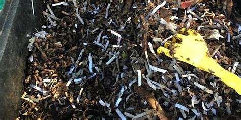 Free Virtual Worm Composting Workshop