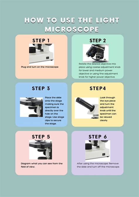 how to use the light microscope info sheet with instructions on how to