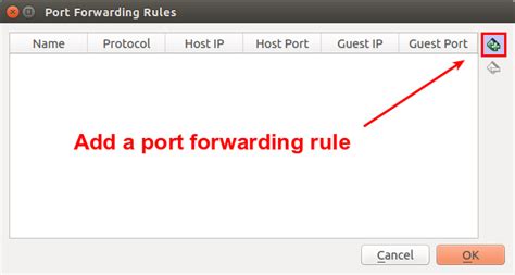 How To Access A NAT Guest From Host With VirtualBox