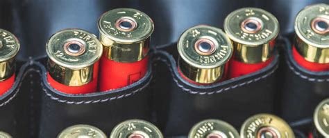 Type Of 12 Gauge Shotgun Shells Type Of 12 Gauge Shotgun Shells