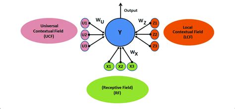 Can Structure The Output Depends On Three Functionally Distinctive
