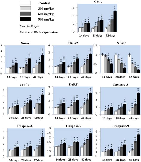 Cyt C Smac Htra2 Xiap Apaf 1 Parp Caspase 3 Caspase 6 Caspase 7