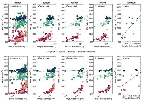 Figure S14 Relationship Between Morphological Top And Physiological Download Scientific