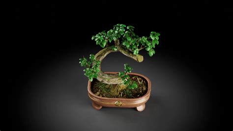 Pixie 3d Physics From Pixels