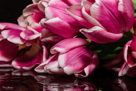 Plexiglass Photography On Behance