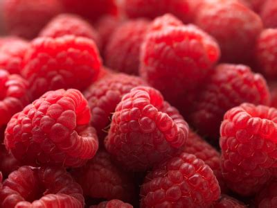 Raspberries | The Seasonal Gourmet