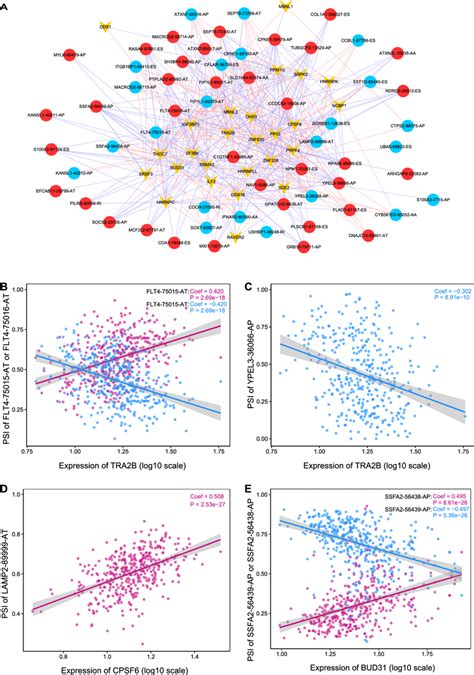 Correlation Analysis Between Splicing Factors And As Events In Lusc Download Scientific Diagram