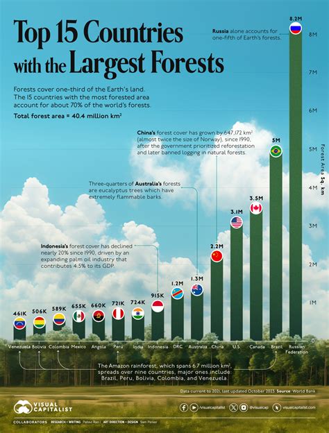 Largest Deciduous Forest In The World