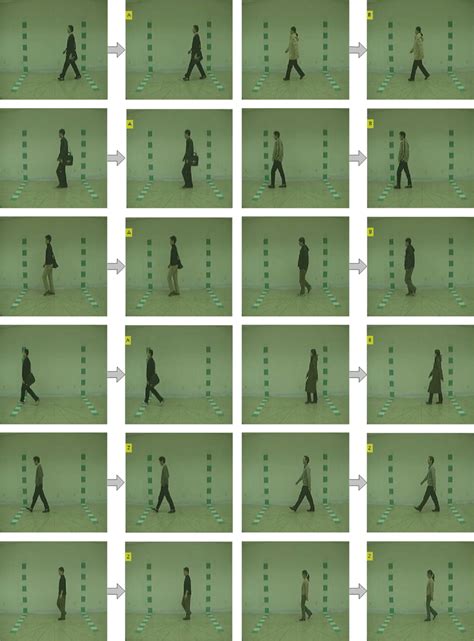Visual Representation Of The Proposed Method For Human Gait