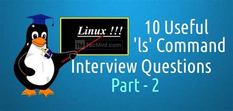 10 Useful Ls Command Interview Questions Rlinux