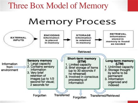 Introduction To Psychology OER Commons