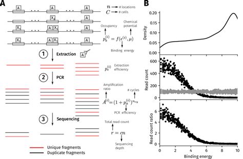 Chip Seq Simulation Procedure A Procedure Overview Each Of N Download Scientific Diagram Chip Seq Simulation Procedure A Procedure Overview Each Of N Download Scientific Diagram