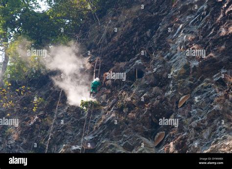 Lamjung Nepal 25th Apr 2014 Honey Hunters Use An Acrid Smoke To